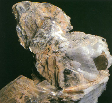 Image loading failed...